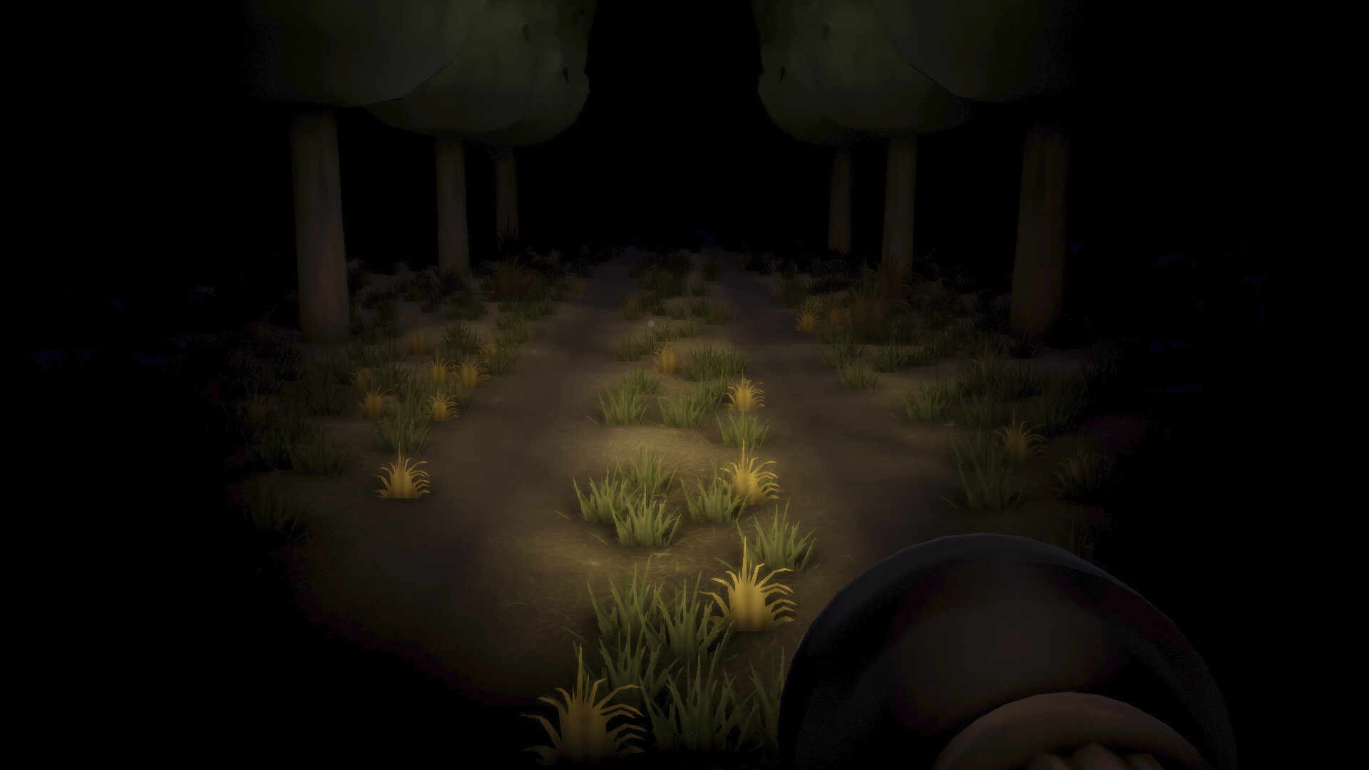 Pomberito ( 'Lara the Pitbull') 2024 | DeVuego